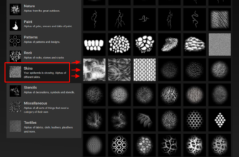 ZBrush: что это за программа для 3D-моделирования, как пользоваться