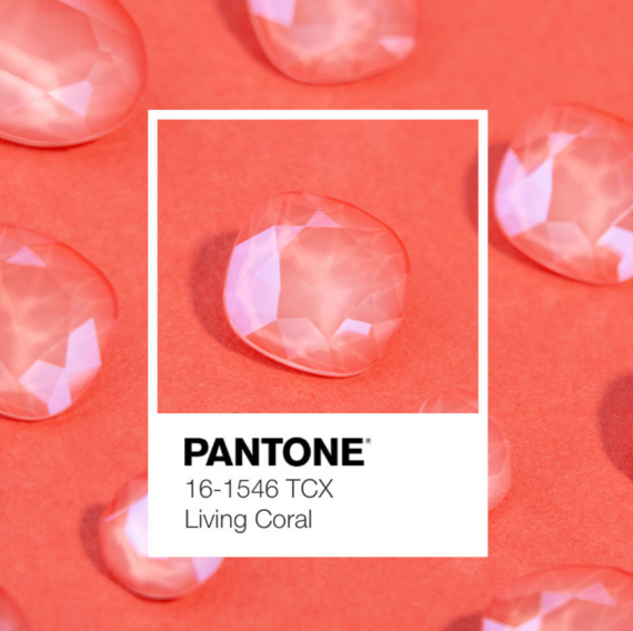 Палитра Pantone: что это такое и зачем нужна | Цвета года